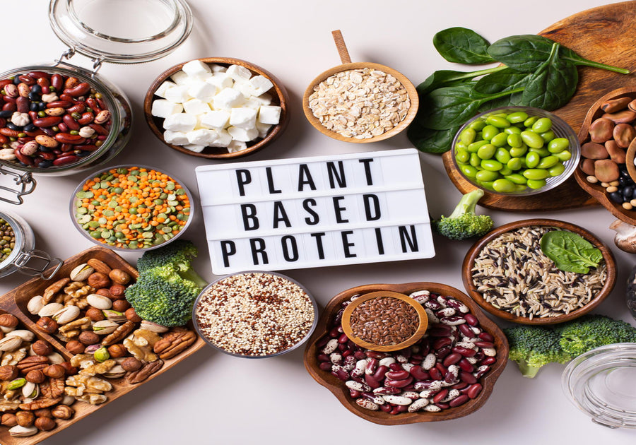 Vegetables High in Protein: Sources of Plant Protein - Auric